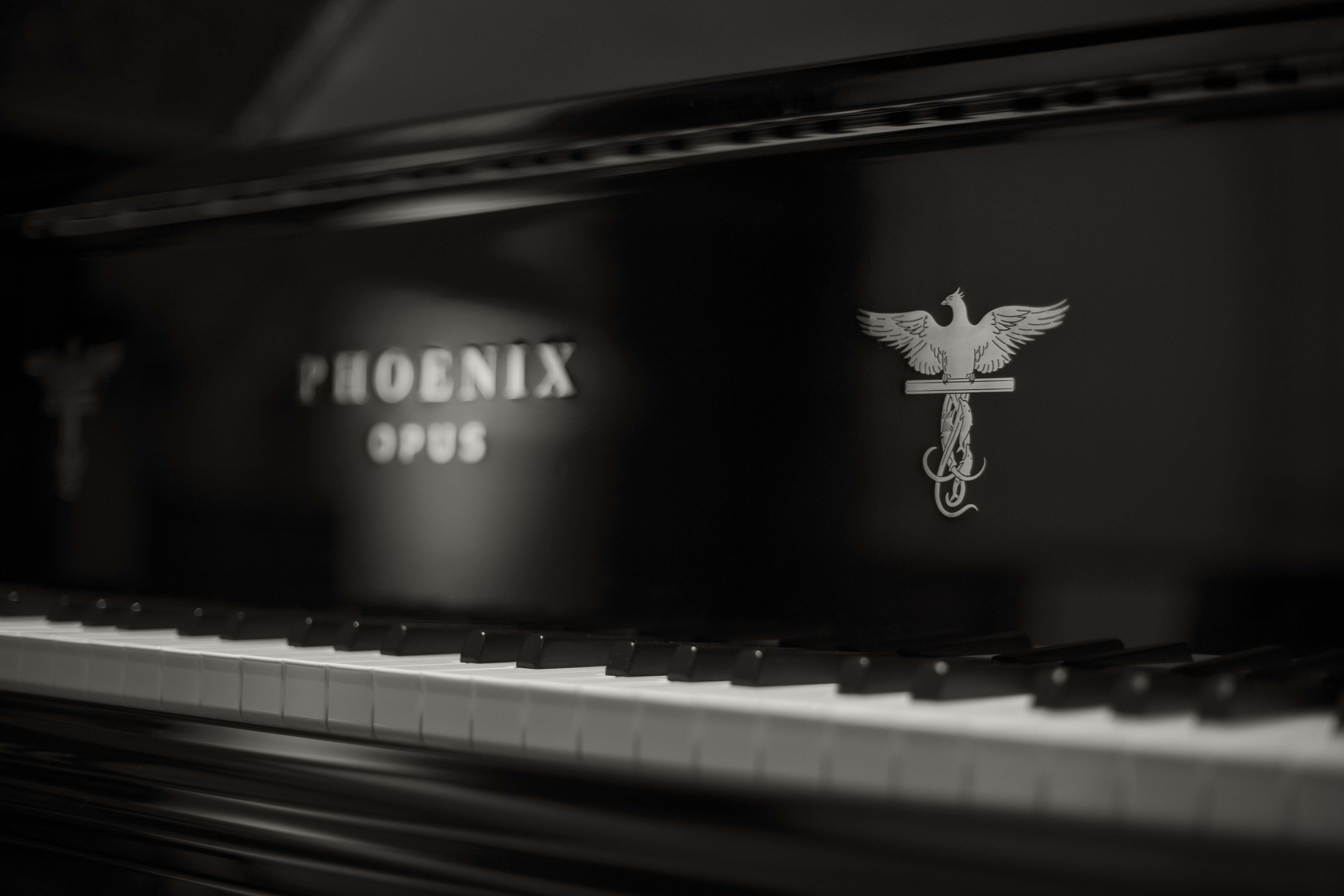Phoenix Pianos partnership to hit right notes at Fairfield Halls - BH Live